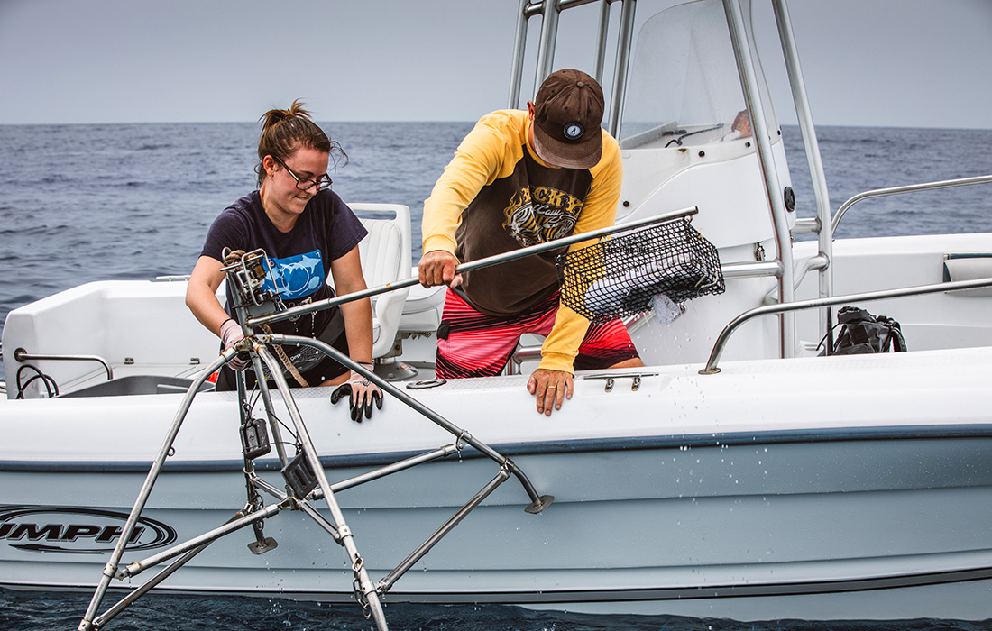 PaulAllen - Global FinPrint